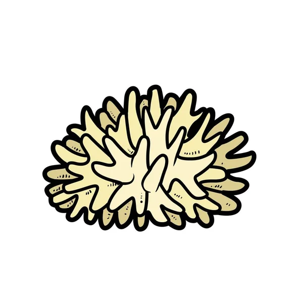 Various Sponges Corals Object Color Variation Coloring Page Isolated ...