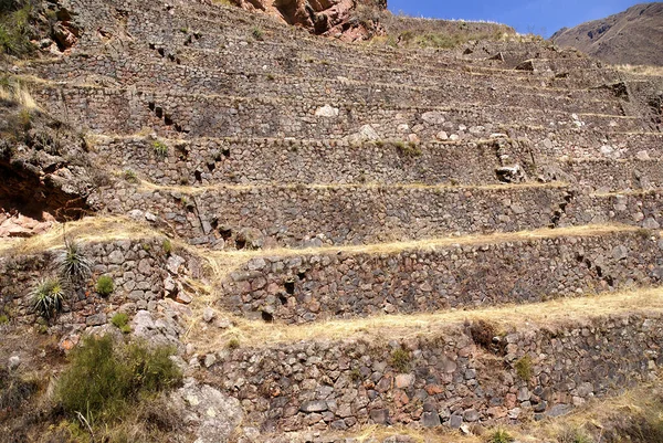 Del inca Stock Photos, Royalty Free Del inca Images | Depositphotos