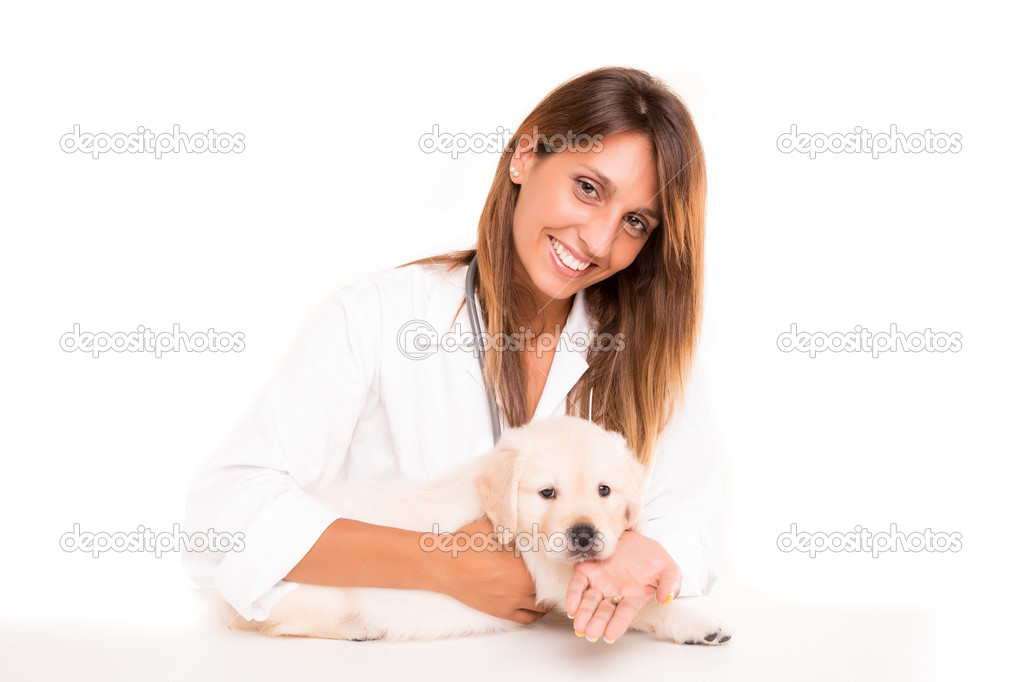 Veterinarian — Stock Photo © hsfelix #34184259