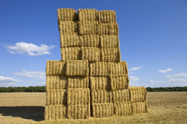 Straw bales stack vertical Stock Photos, Royalty Free Straw bales stack ...