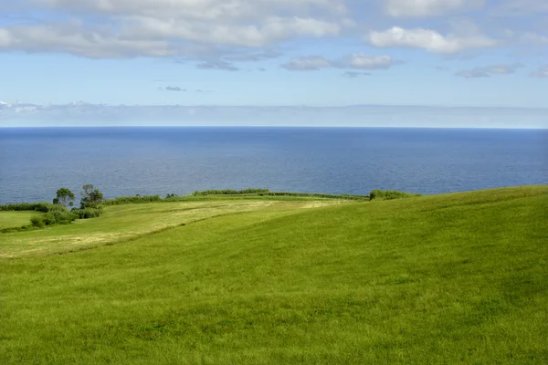 Azores farm on the coast Stock Photo by ©zittto 23684259