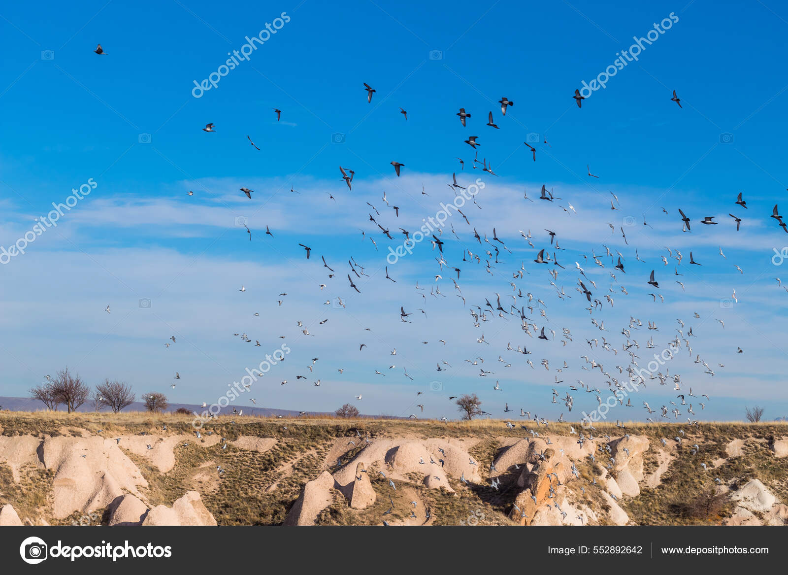 Flying Doves Volcanic Cliffs Rock Formations Cappadocia Anatolia Turkey ...
