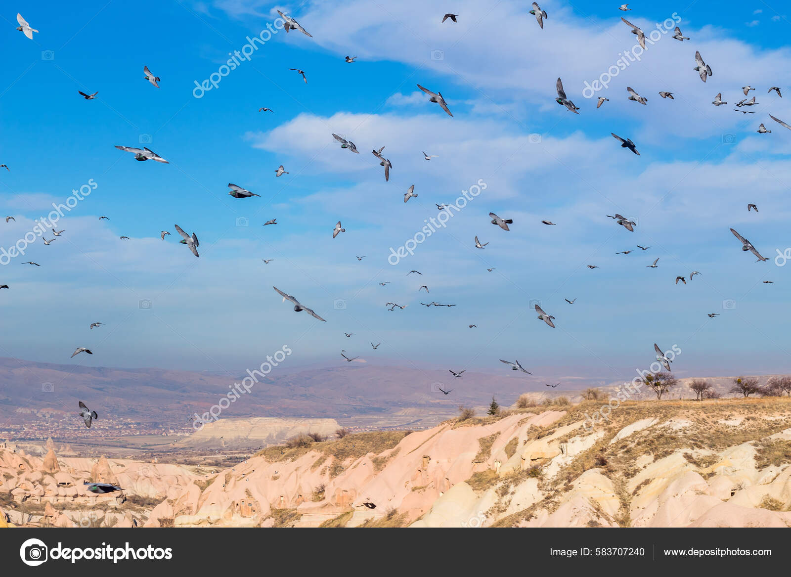 Flying Doves Volcanic Cliffs Rock Formations Cappadocia Anatolia Turkey ...