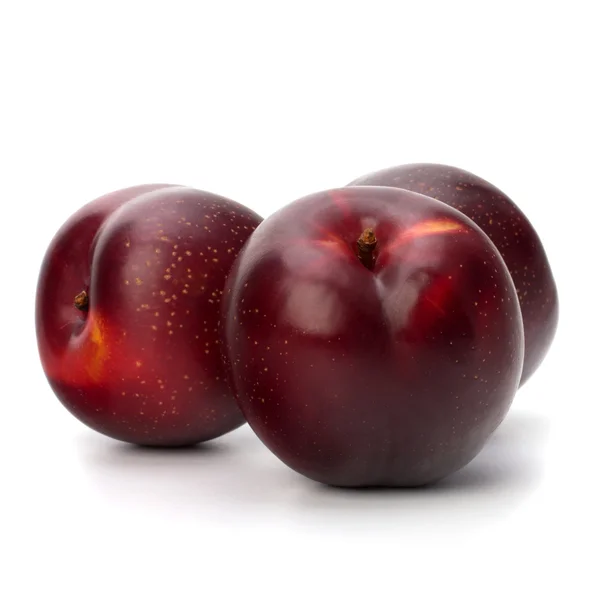 Red plum fruit Stock Photo by ©natika 23558917