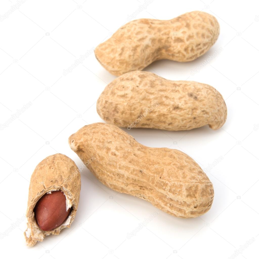 Peanut — Stock Photo © natika #13849265