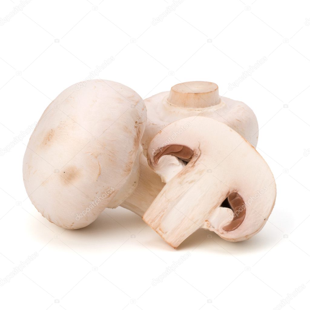 Champignon mushroom — Stock Photo © natika #19071223