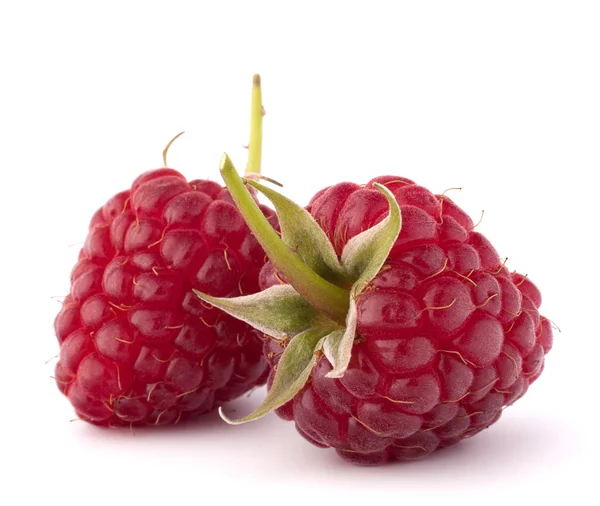 Raspberry pi Stock Photos, Royalty Free Raspberry pi Images | Depositphotos