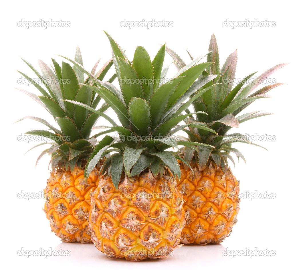 Pineapple tropical fruit or ananas Stock Photo by ©natika 31855415