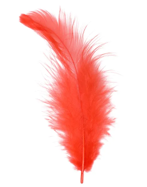 Red feather Stock Photos, Royalty Free Red feather Images | Depositphotos