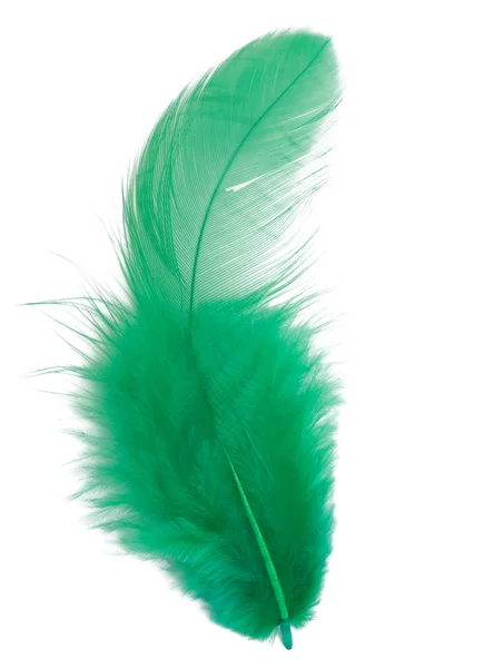 Plume verte images libres de droit, photos de Plume verte | Depositphotos