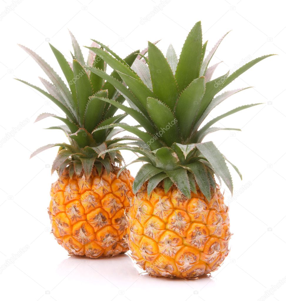 Pineapple tropical fruit or ananas Stock Photo by ©natika 44480123