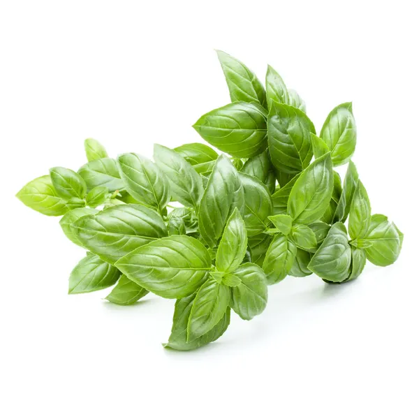 Sweet basil Stock Photos, Royalty Free Sweet basil Images | Depositphotos