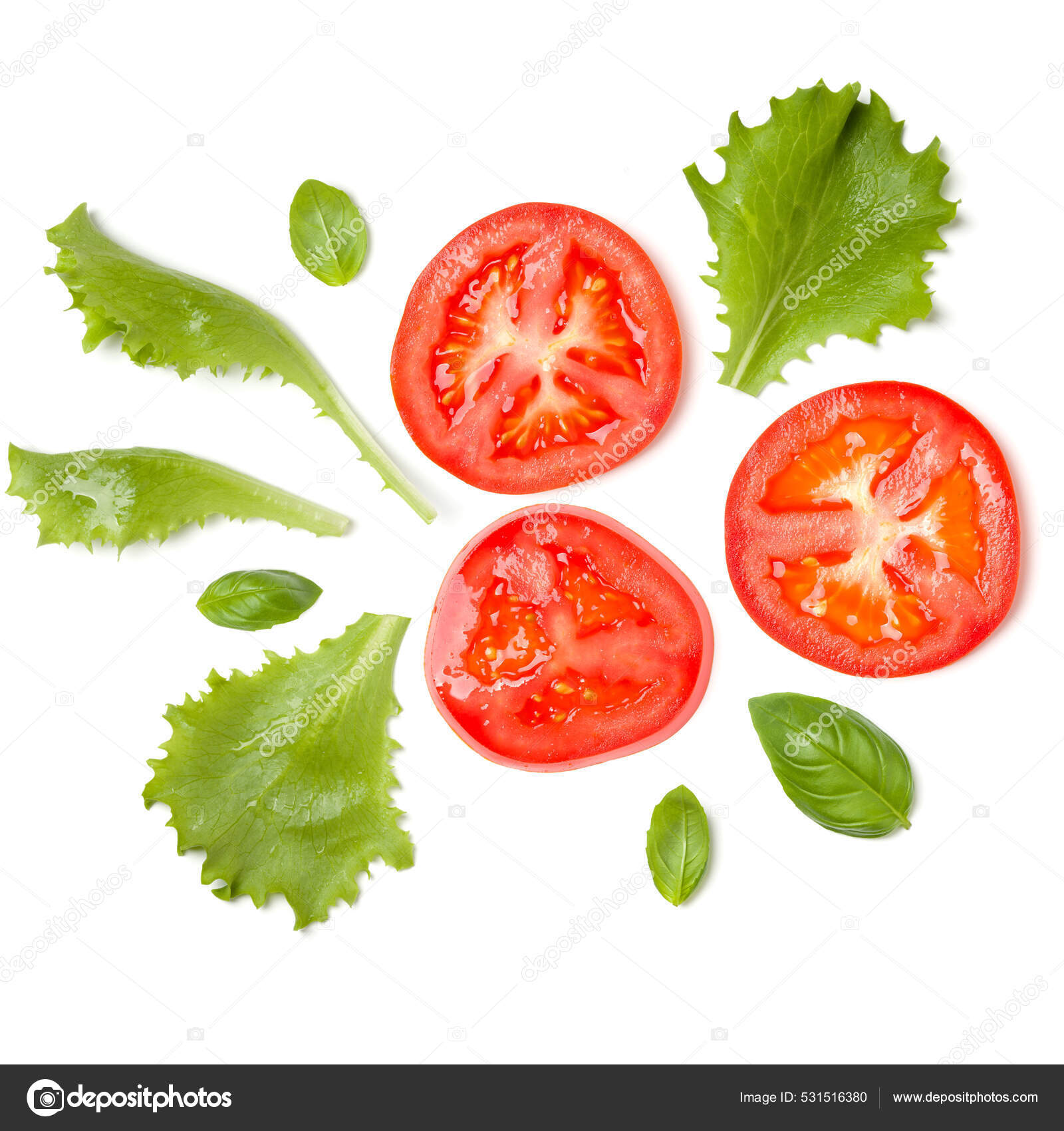 Slices Of Lettuce Leaves