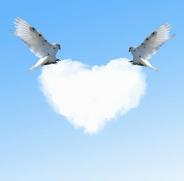 Two doves Stock Photos, Royalty Free Two doves Images | Depositphotos®