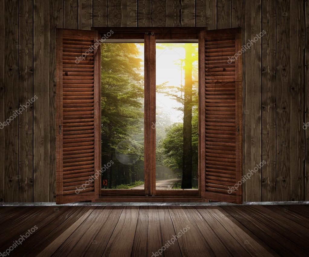 Window overlooking — Stock Photo © svitlana10 #15422991