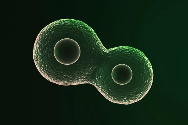 Cell division Pictures, Cell division Stock Photos & Images ...