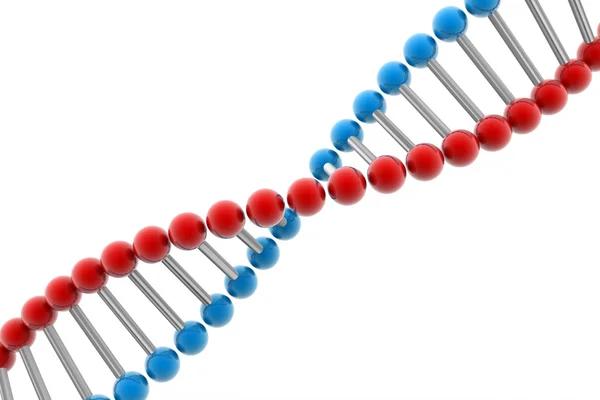 Climbing dna ladder Stock Photos, Royalty Free Climbing dna ladder ...