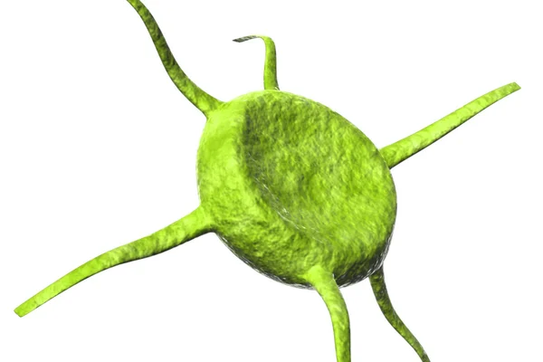 Microbacterial Stock Photos, Royalty Free Microbacterial Images ...