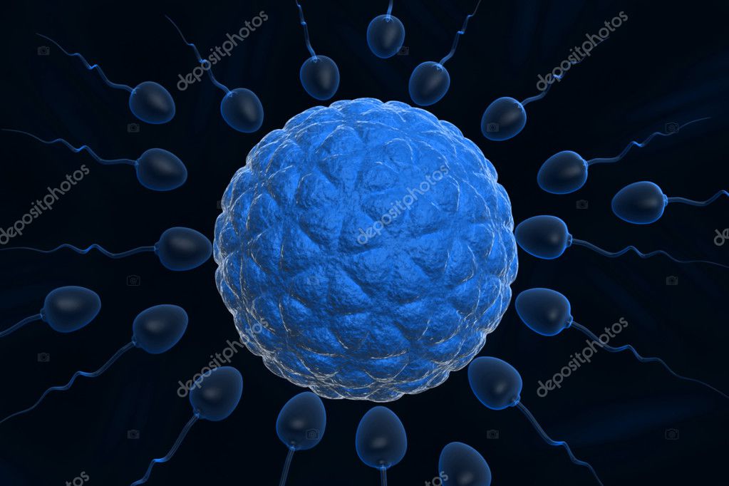 3d Human egg insemination — Stock Photo © rbhavana #18652559