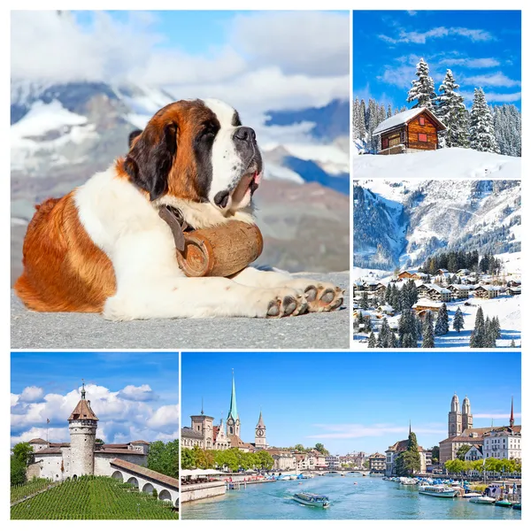 Swiss alps dogs Stock Photos, Royalty Free Swiss alps dogs Images ...
