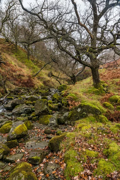 Lake district path Stock Photos, Royalty Free Lake district path Images ...