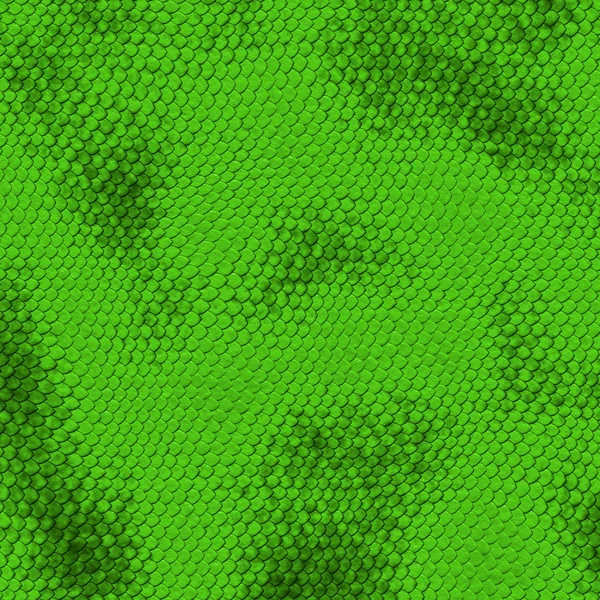 Green snake skin — Stock Photo © clearviewstock #1214721