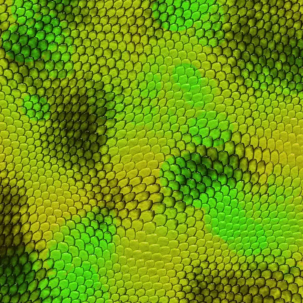 Snake texture Stock Photos, Royalty Free Snake texture Images ...