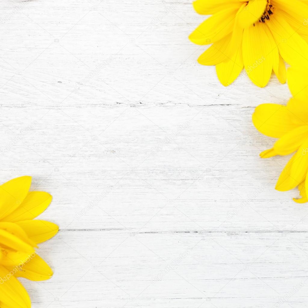 Wood background with yellow flowers — Stock Photo © Farina6000 #32468181