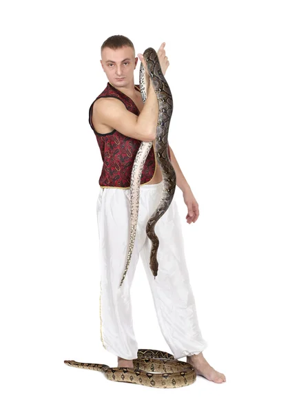 Constrictor Stock Photos, Royalty Free Constrictor Images | Depositphotos®