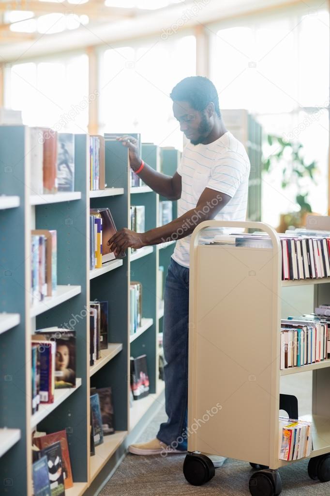 Librarian Arranging Books In Shelf At Library — Stock Photo ...