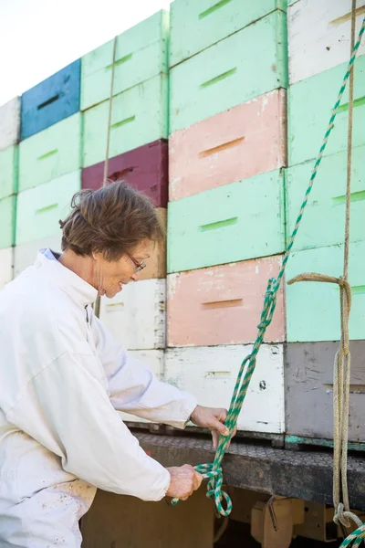 Tying Stock Photos, Royalty Free Tying Images | Depositphotos