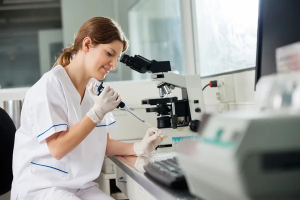 Laboratory researcher Stock Photos, Royalty Free Laboratory researcher ...