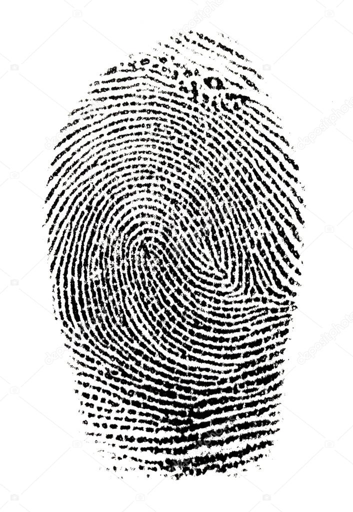 Real fingerprint in white background Super macro Stock Photo by ...