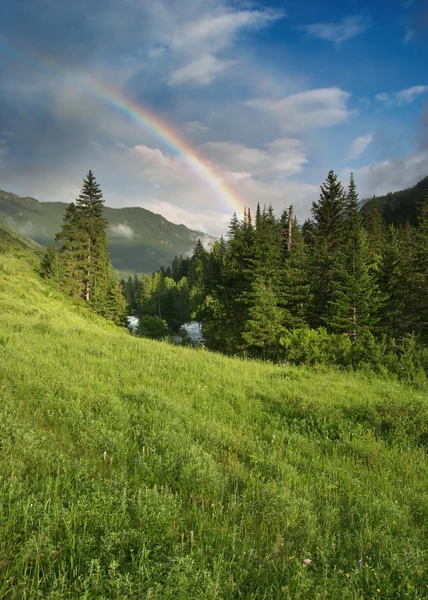 Rainbow over forest Stock Photo by ©muha04 5122182