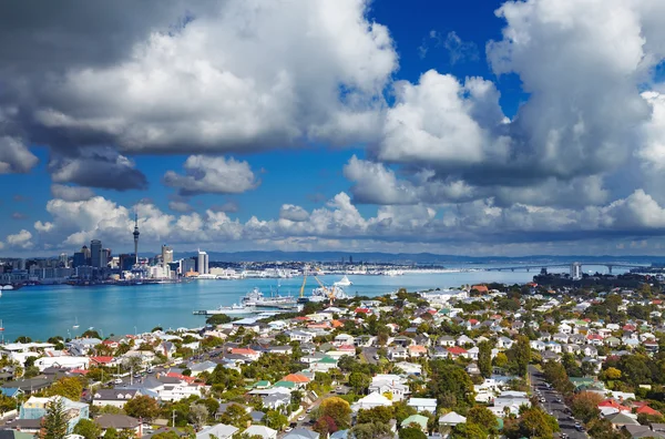 Auckland Stock Photos, Royalty Free Auckland Images | Depositphotos