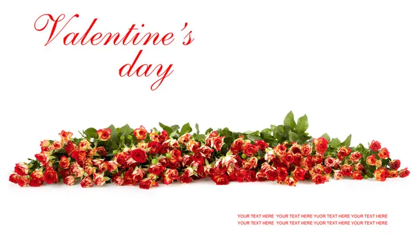 Extra large Stock Photos, Royalty Free Extra large Images | Depositphotos®