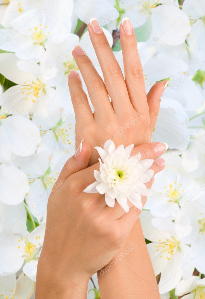 Beautiful female hands Stock Photo by ©TatyanaGl 46317833