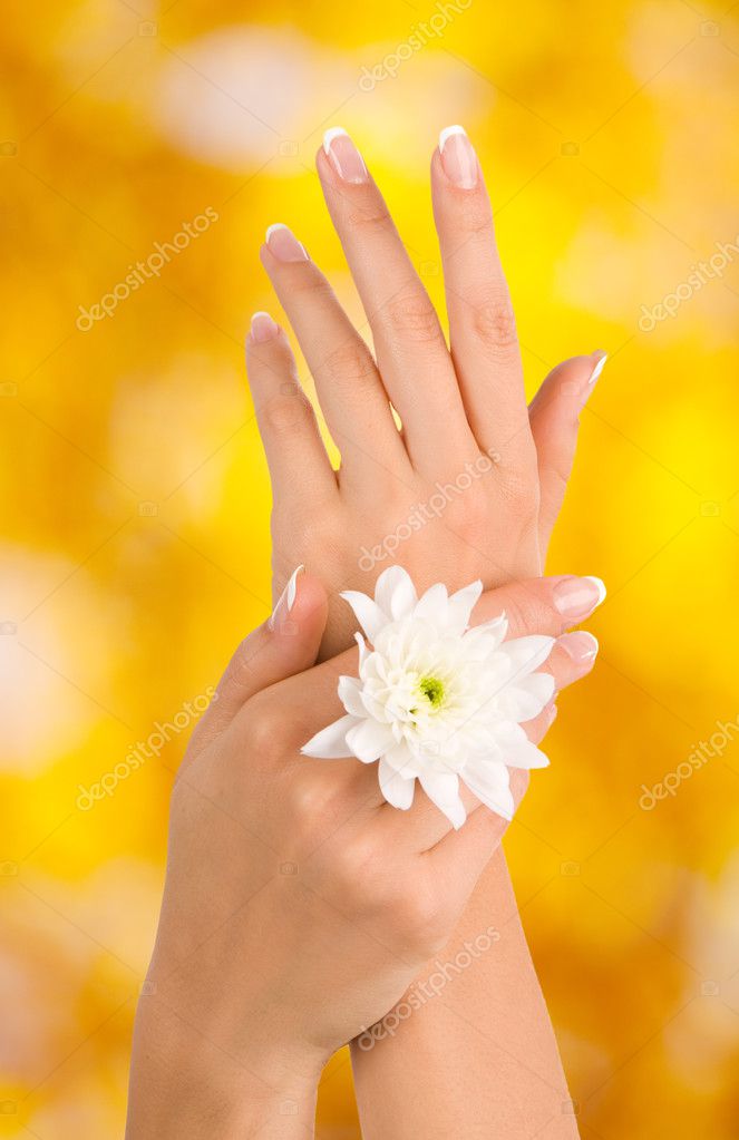 Beautiful female hands Stock Photo by ©TatyanaGl 49878761
