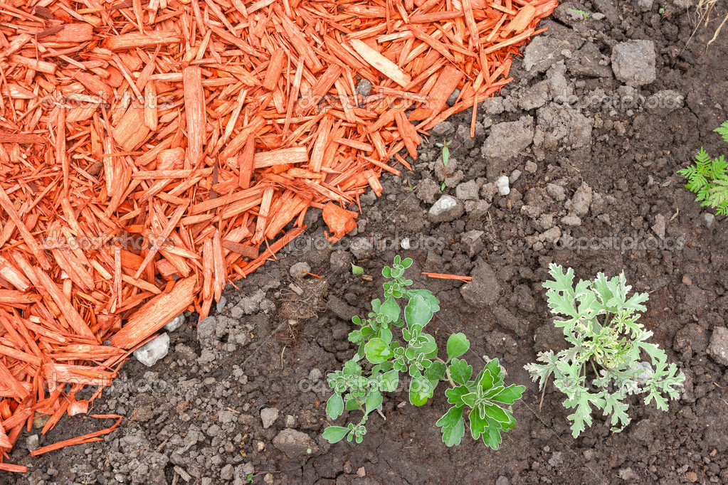 Dirt and mulch Stock Photo by ©Arsty. 19532217