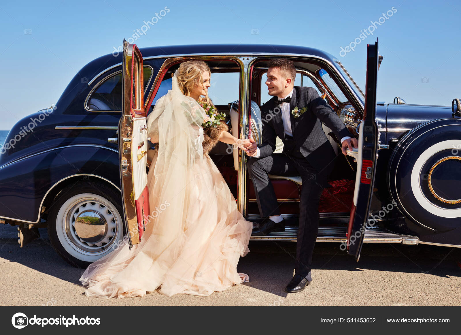 Wedding Elegant Couple Groom Gives Bride's Hand Come Out Wedding ...