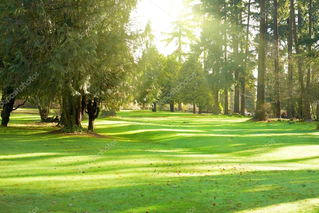 Parque verde: fotografía de stock © dovapi #49928495 | Depositphotos