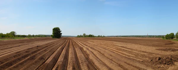 Arable Stock Photos, Royalty Free Arable Images | Depositphotos®