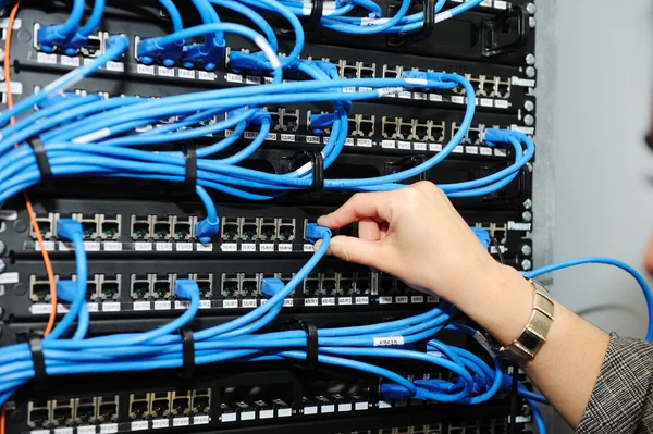 Lan Stock Photos, Royalty Free Lan Images | Depositphotos