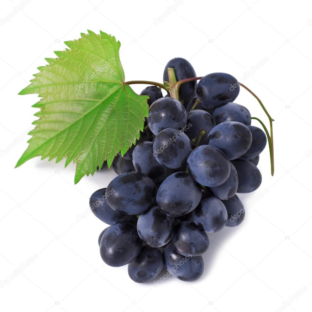 Grape — Stock Photo © Multik #37980081