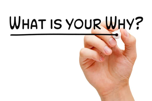 Your why Stock Photos, Royalty Free Your why Images | Depositphotos