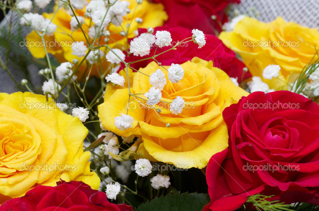 Red and yellow roses Stock Photo by ©Forewer 50961111