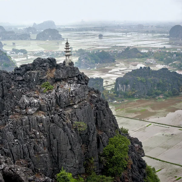 Rice fields, limestone rocks view from Hang Mua Temple. Ninh Binh ...