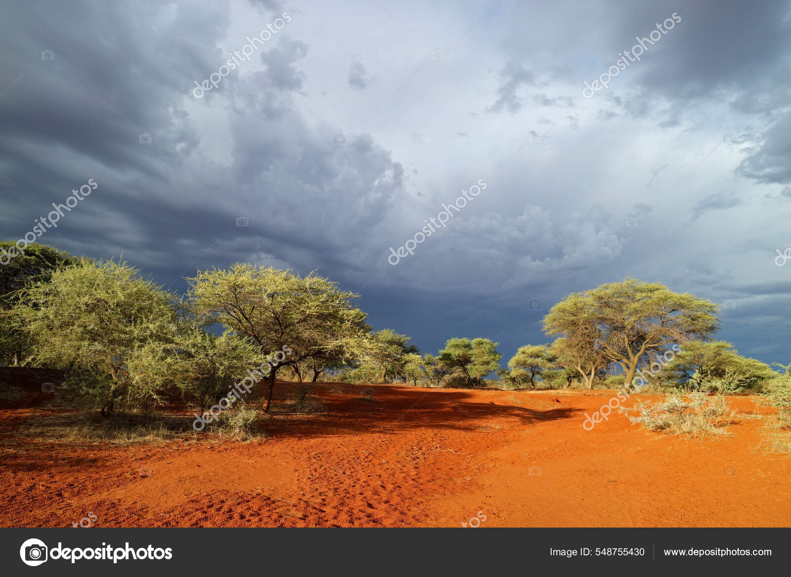 African Savannah Landscape Dark Sky Approaching Storm South Africa ...