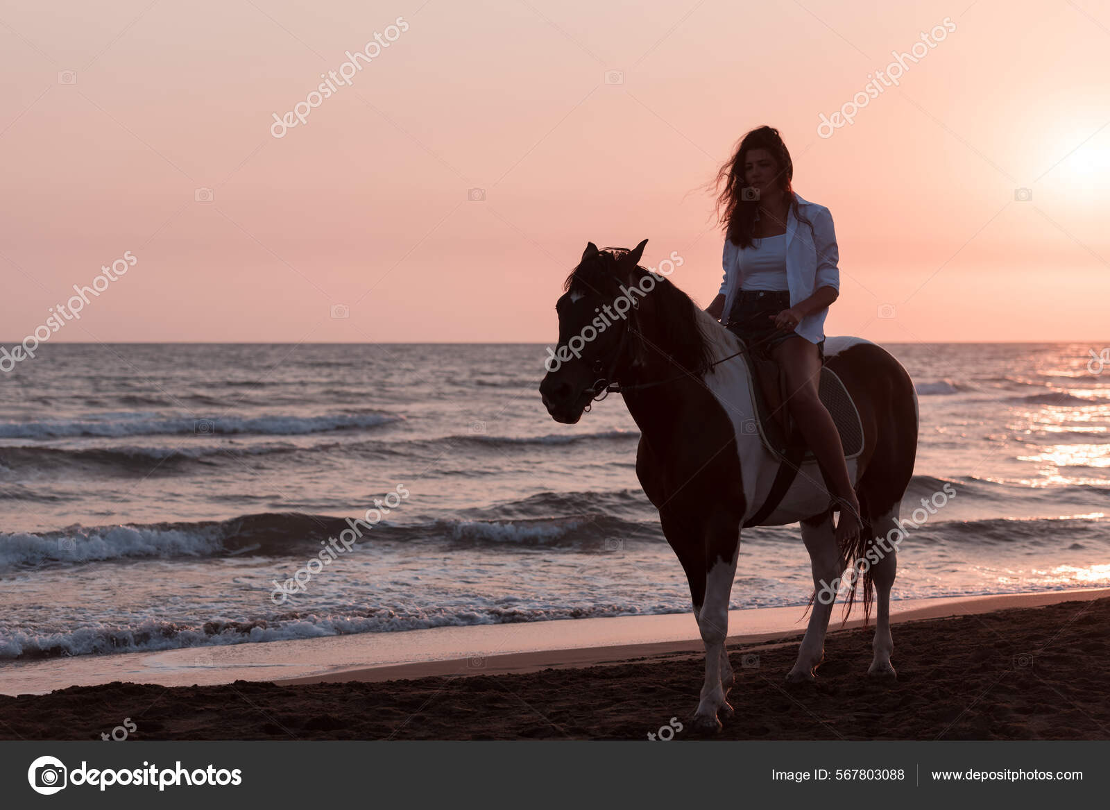 Beautiful Beach Sunset Horse