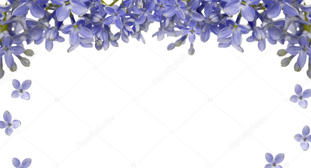 Blue lilac flower frame — Stock Photo © Dr.PAS #24181225
